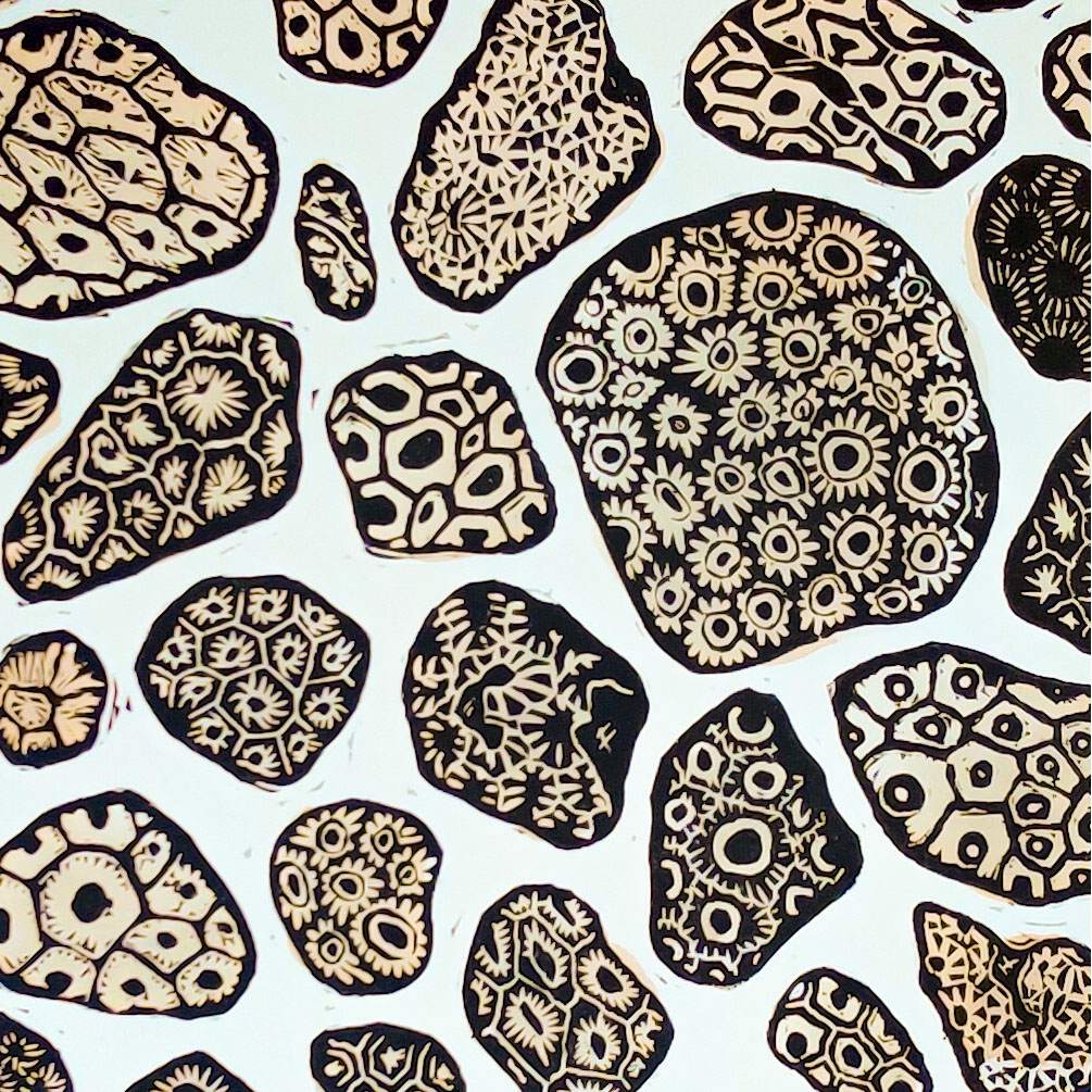 petoskey stone coloring page