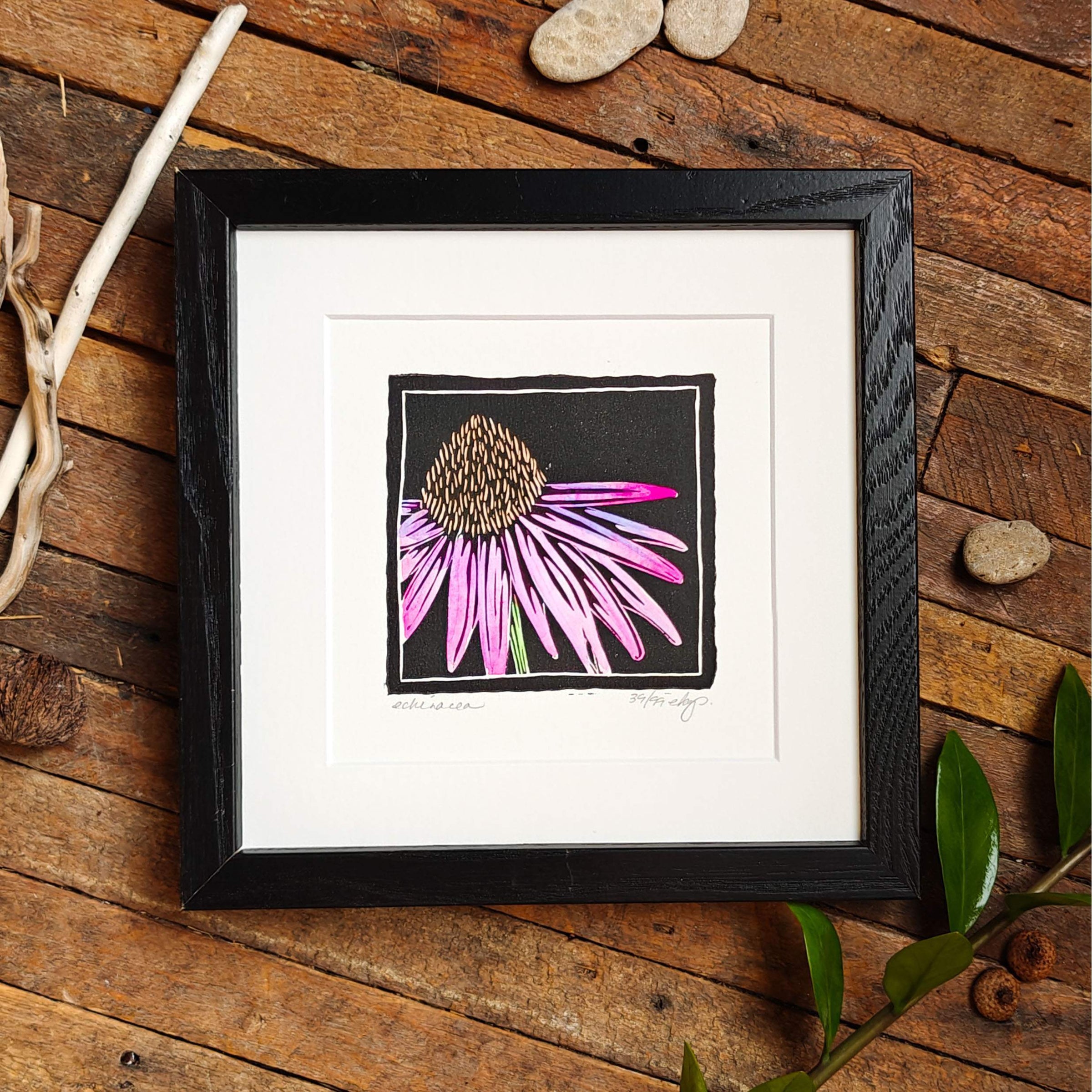 Echinacea Coneflower Linoprint | Big Mitten Linocuts