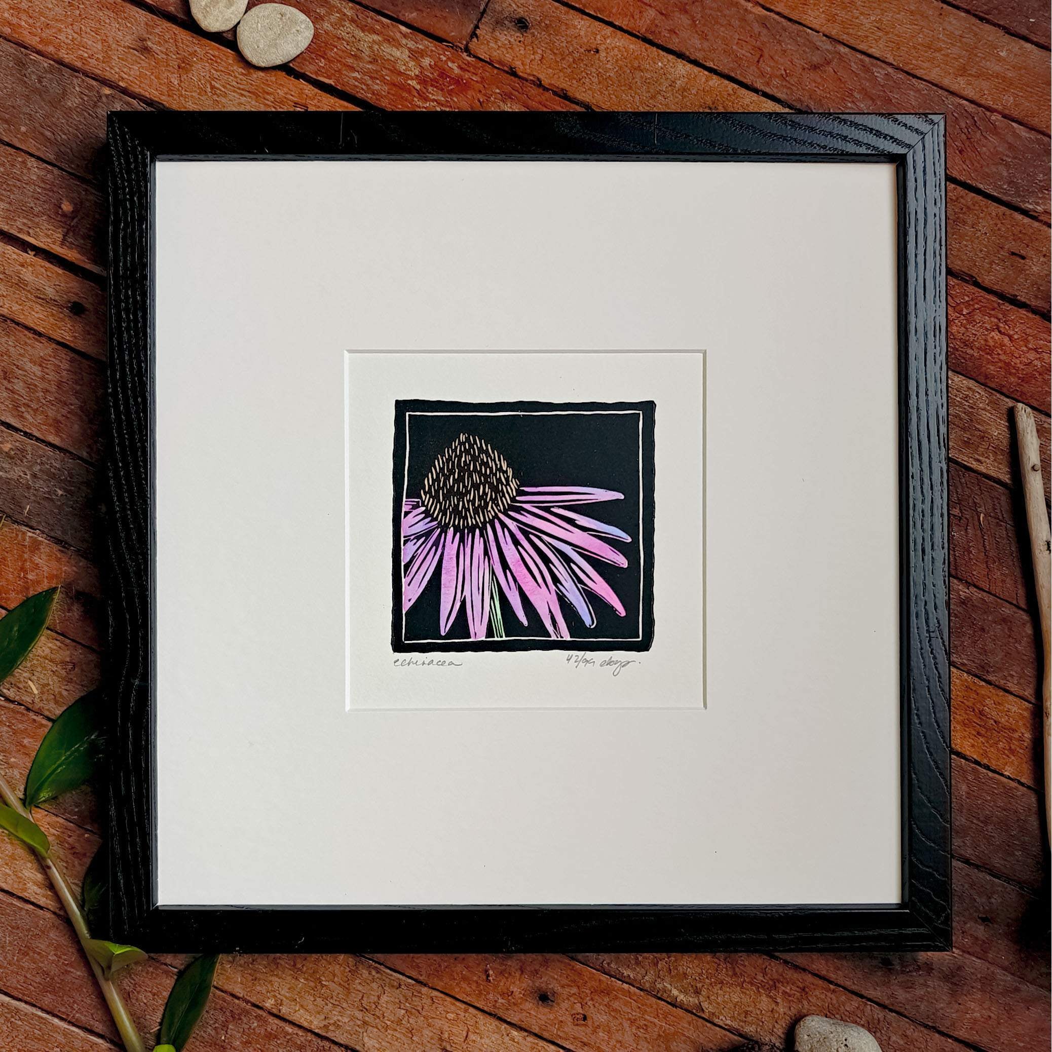 Echinacea Coneflower Linoprint | Big Mitten Linocuts