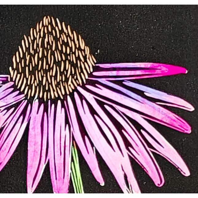 Echinacea Coneflower Linoprint | Big Mitten Linocuts