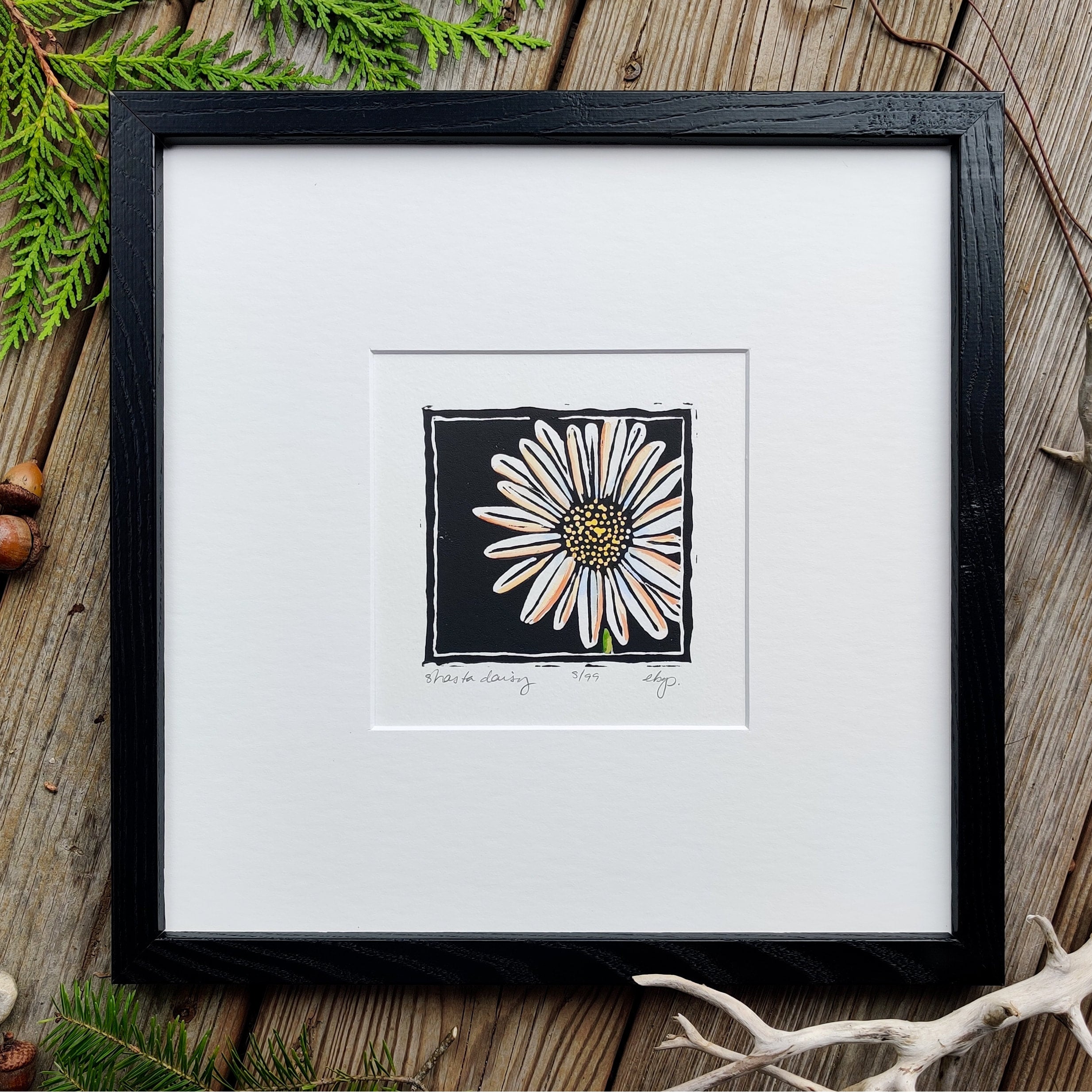 Shasta Daisy Linoprint | Big Mitten Linocuts