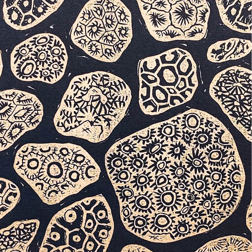 Hexagonaria Percarinata (Petoskeys) Linoprint | Big Mitten Linocuts